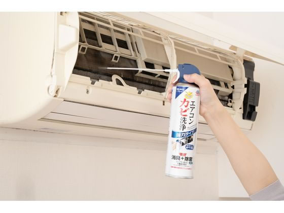 アース製薬 らくハピ エアコンカビ洗浄 プレミアウインド 通販